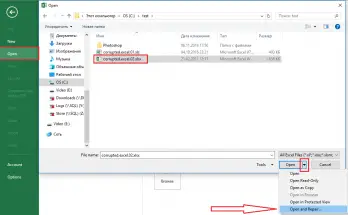 How to repair a corrupted MS Excel file (XLS and XLSX)