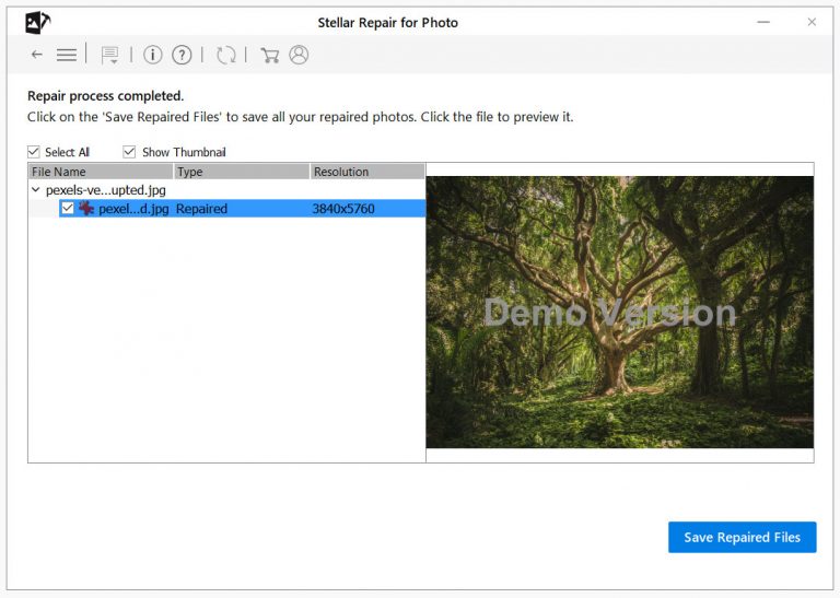 Stellar Repair for Photo - Review and Test Drive